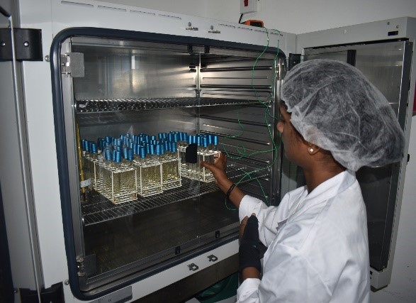 Water Quality – CWA