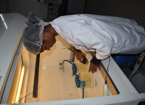 Water Quality – CWA